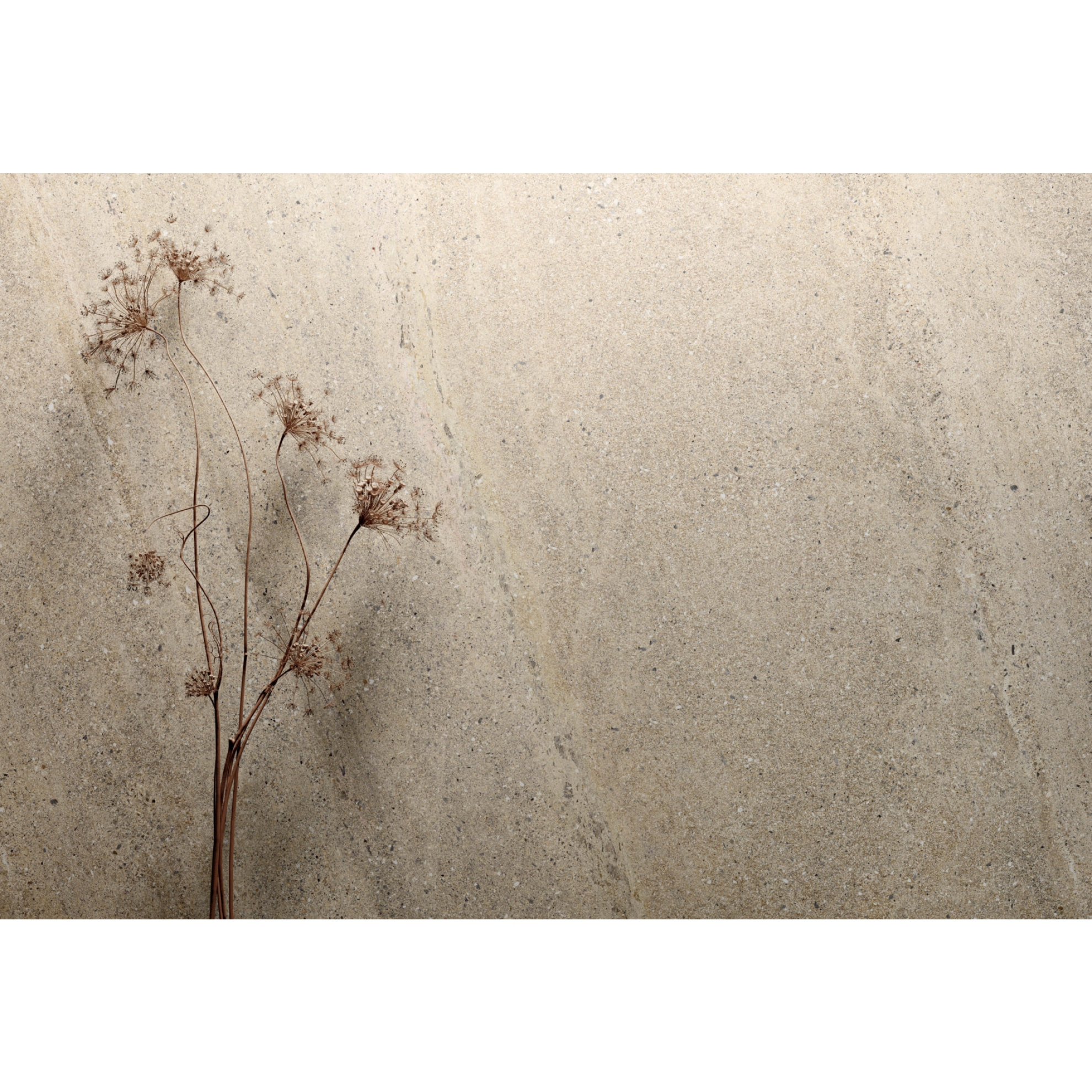 Flaviker Rockin` Boden- und Wandfliese Desert 60x120 cm 0010112