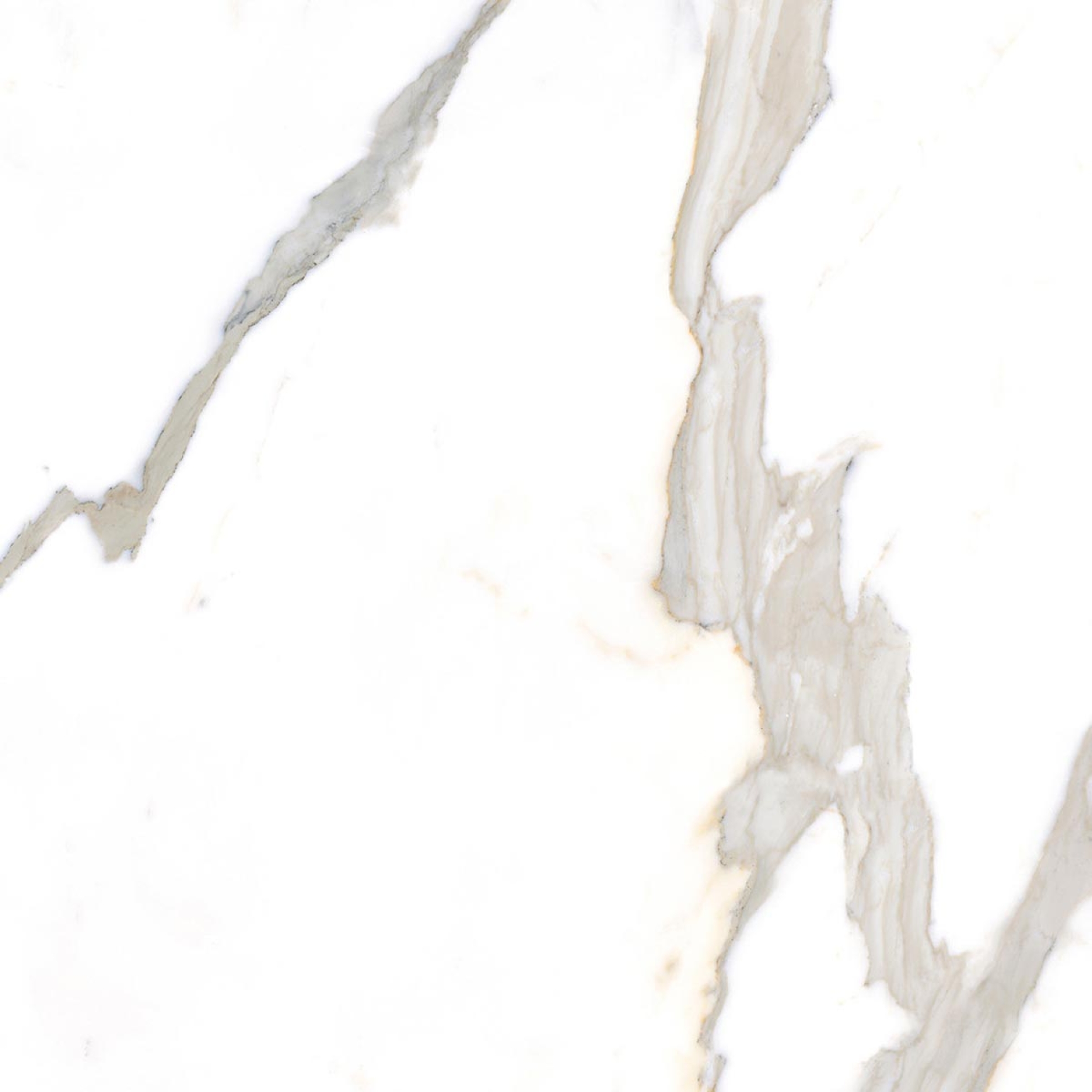 Mirage Jolie Calacatta Select Glossy Boden- und Wandfliese 80x80